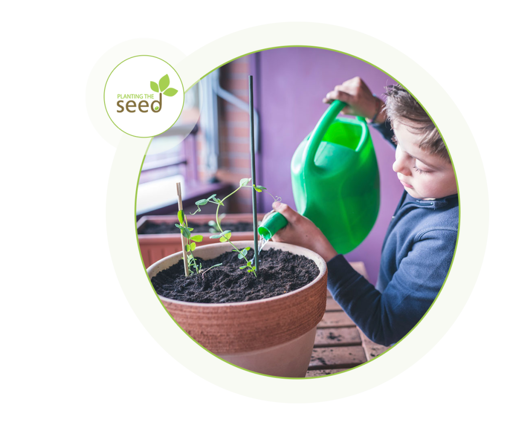 Planting the Seed - First the Seed Foundation