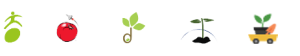 Classroom Resources - First the Seed Foundation